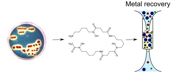 Microorganisms | Free Full-Text | Screening for Microbial Metal ...