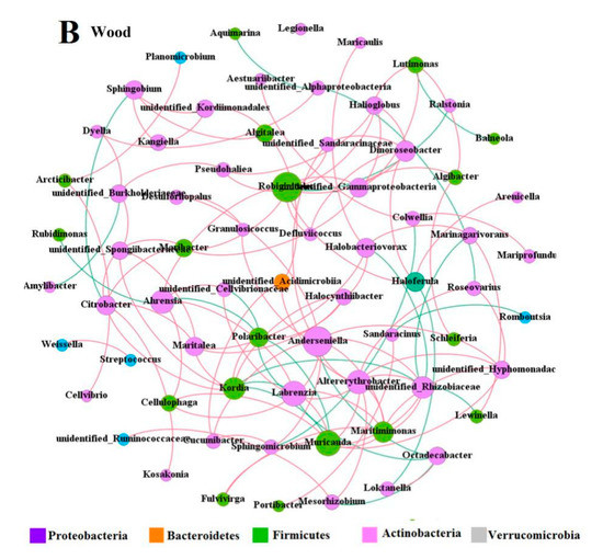Comparative Analysis of the Ecological Succession of Microbial ...