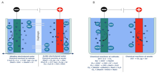 New Clinical Applications of Electrolyzed Water: A Review