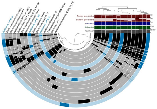 Comparative Genomics of Marine Bacteria from a Historically Defined ...
