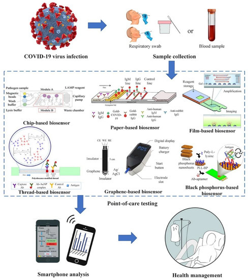 A Comprehensive Review of Detection Methods for SARS-CoV-2
