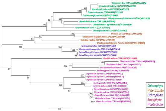 Exploring the Chemical Space of Macro- and Micro-Algae Using ...