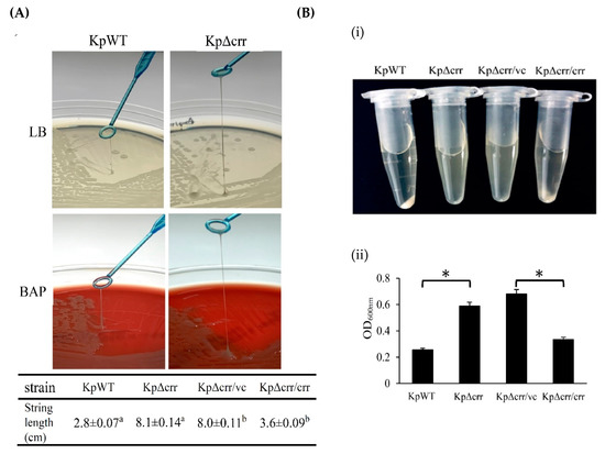 The PTS Components in Klebsiella pneumoniae Affect Bacterial Capsular ...