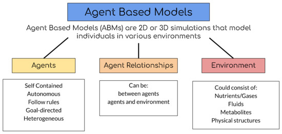 Microorganisms | Free Full-Text | Agent Based Models of Polymicrobial ...