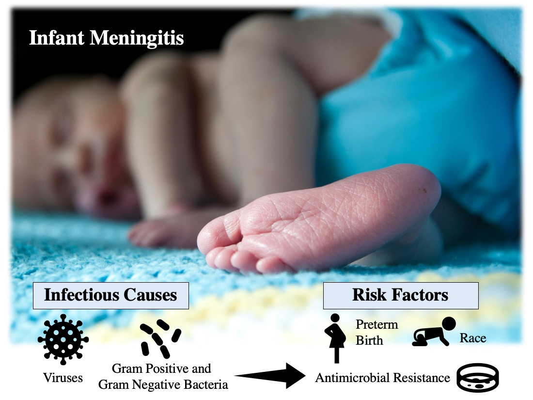 Microorganisms | Free Full-Text | The Epidemiology of Meningitis in ...