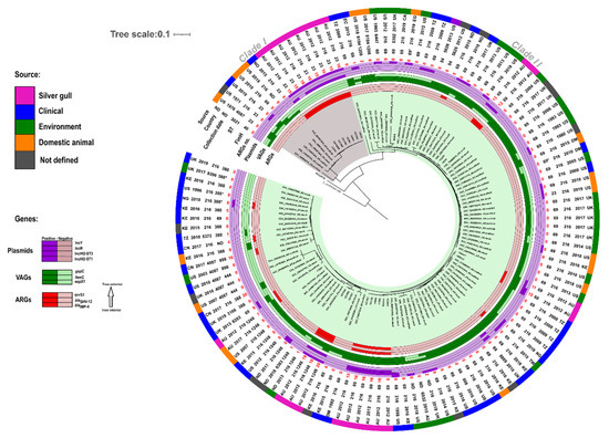 Mcg Seating Plan With Seat Numbers - Infoupdate.org