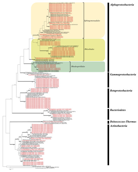 Diversity and Physiological Characteristics of Antarctic Lichens ...