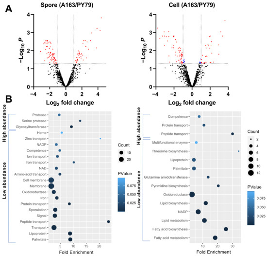 Molecular Physiological Characterization of a High Heat Resistant Spore ...