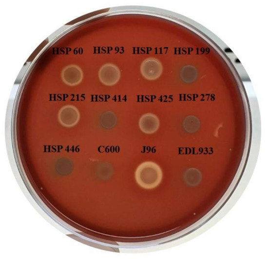 Frequency and Diversity of Hybrid Escherichia coli Strains Isolated ...