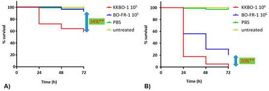 Microorganisms | Special Issue : Bacteriophages and Their Components as ...