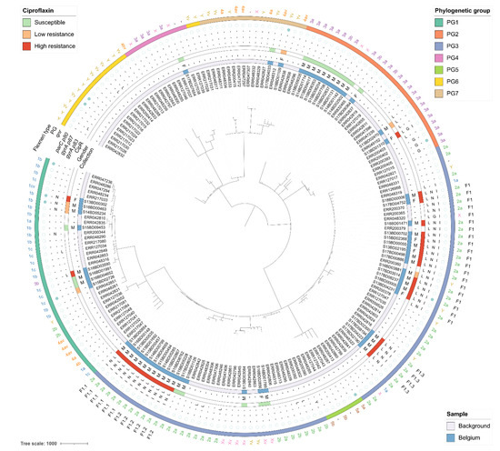 Microorganisms | Special Issue : Antimicrobial Resistance and Molecular ...