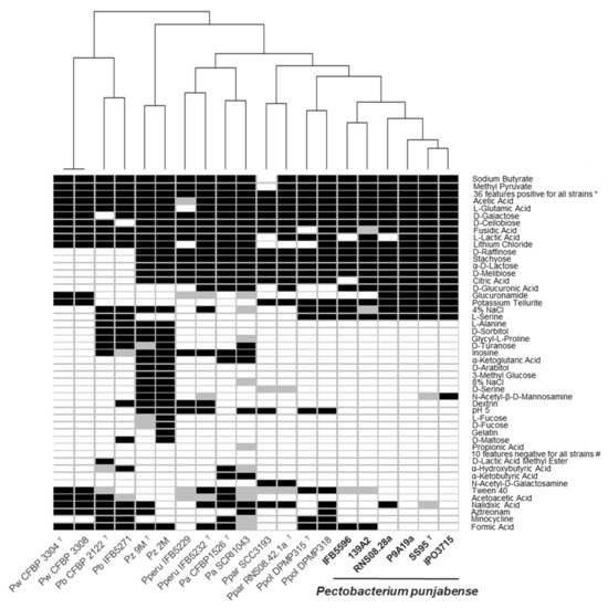 Microorganisms | Special Issue : Dickeya and Pectobacterium: Ecology ...