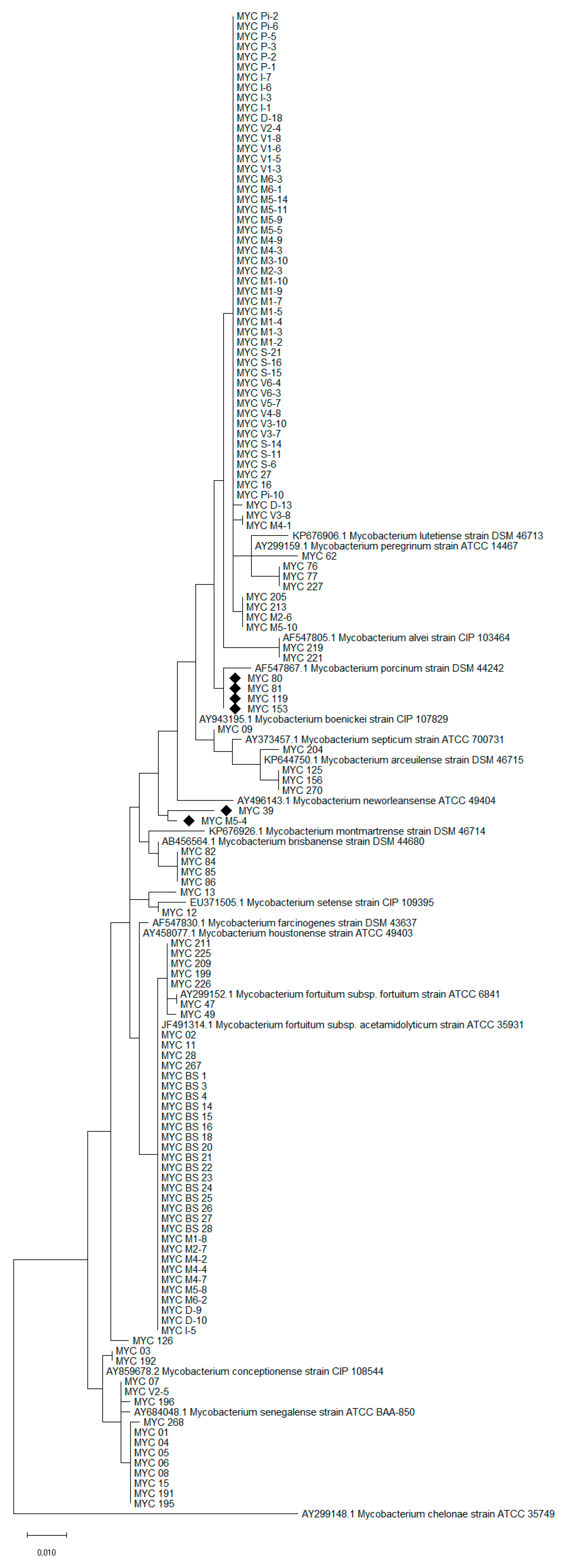 Microorganisms | Free Full-Text | Gene Sequencing and Phylogenetic ...