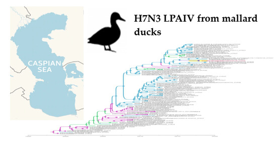 Microorganisms | Free Full-Text | Biological Properties and Genetic ...