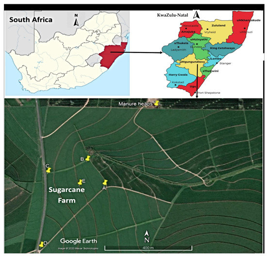 Rethinking Manure Application: Increase in Multidrug-Resistant ...