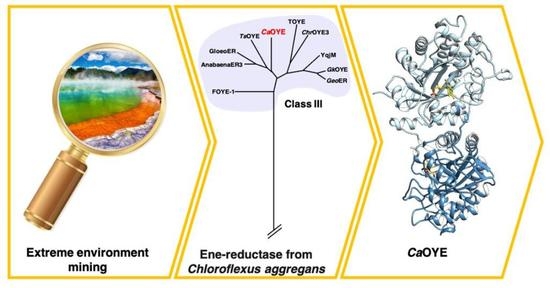 Microorganisms | Special Issue : Microbial Extremophiles as Life ...