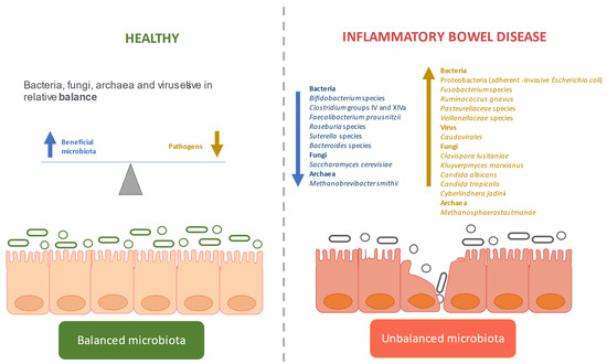 Systematic Review: The Gut Microbiome and Its Potential Clinical ...