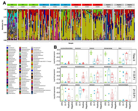 The Effect of Antimicrobial Treatment upon the Gill Bacteriome of ...