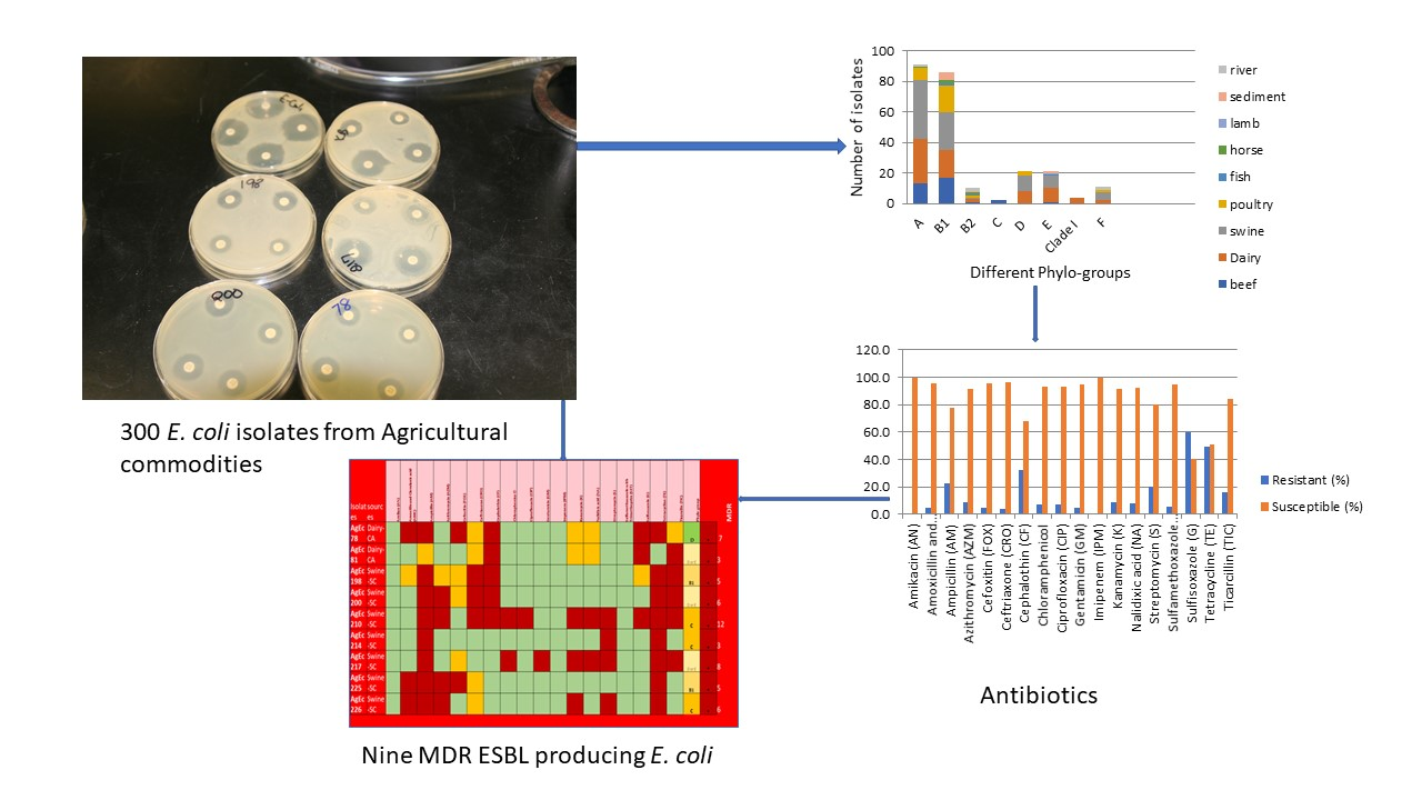Lisa Durso's Instagram, Twitter & Facebook on IDCrawl