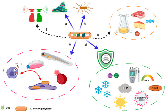 Microorganisms | Free Full-Text | Listeria monocytogenes Cold Shock ...