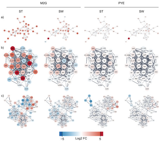 Microorganisms | Special Issue : Bacterial Stress Response Mechanisms ...