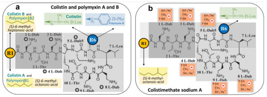 Nebulized Colistin in Ventilator-Associated Pneumonia and ...