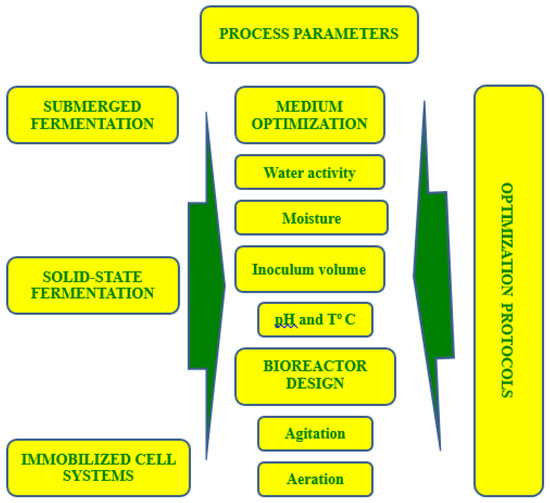 Fermentation Strategies to Improve Soil Bio-Inoculant Production and ...
