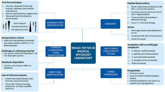 MALDI-TOF MS in a Medical Mycology Laboratory: On Stage and Backstage