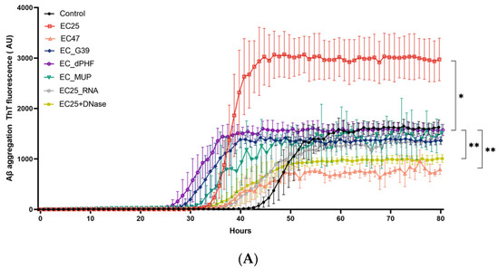 Bacterial Extracellular DNA Promotes β-Amyloid Aggregation