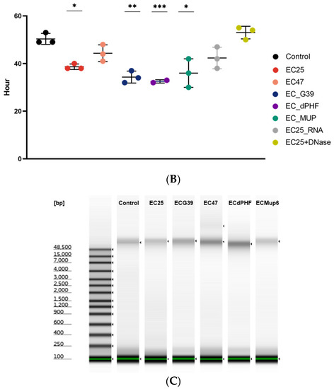 Bacterial Extracellular DNA Promotes β-Amyloid Aggregation