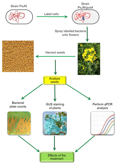 Recent Developments in the Study of Plant Microbiomes