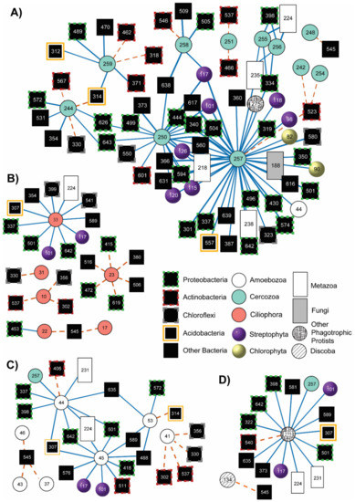 Phagotrophic Protists and Their Associates: Evidence for Preferential ...