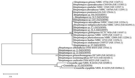 Biodiversity of Actinomycetes from Heavy Metal Contaminated Technosols