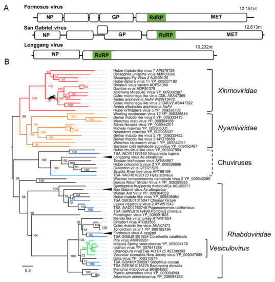 Uncovering the Worldwide Diversity and Evolution of the Virome of the Mosquitoes Aedes aegypti ...
