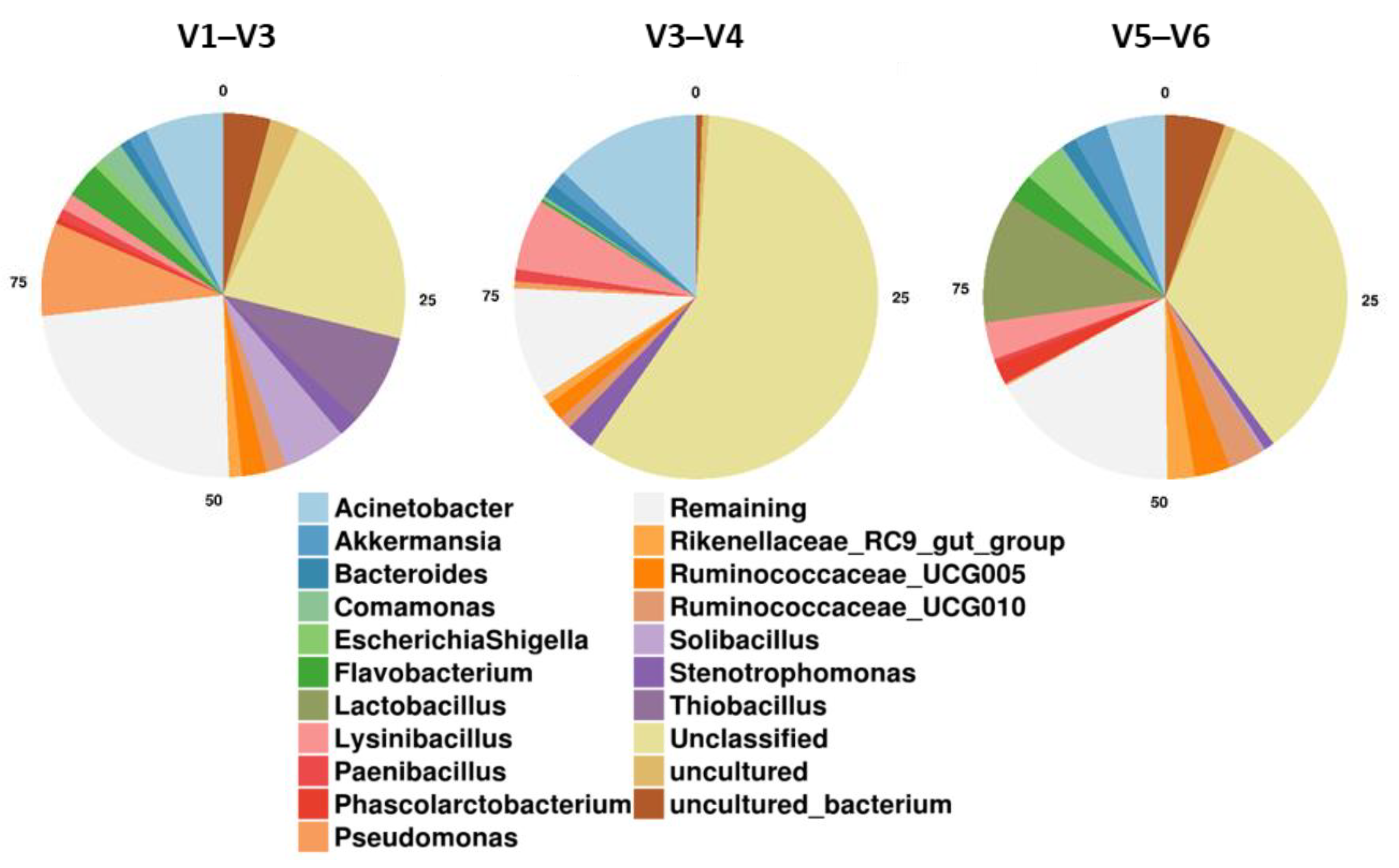 Microbial Diversity Profiling of Gut Microbiota of Macropus giganteus ...