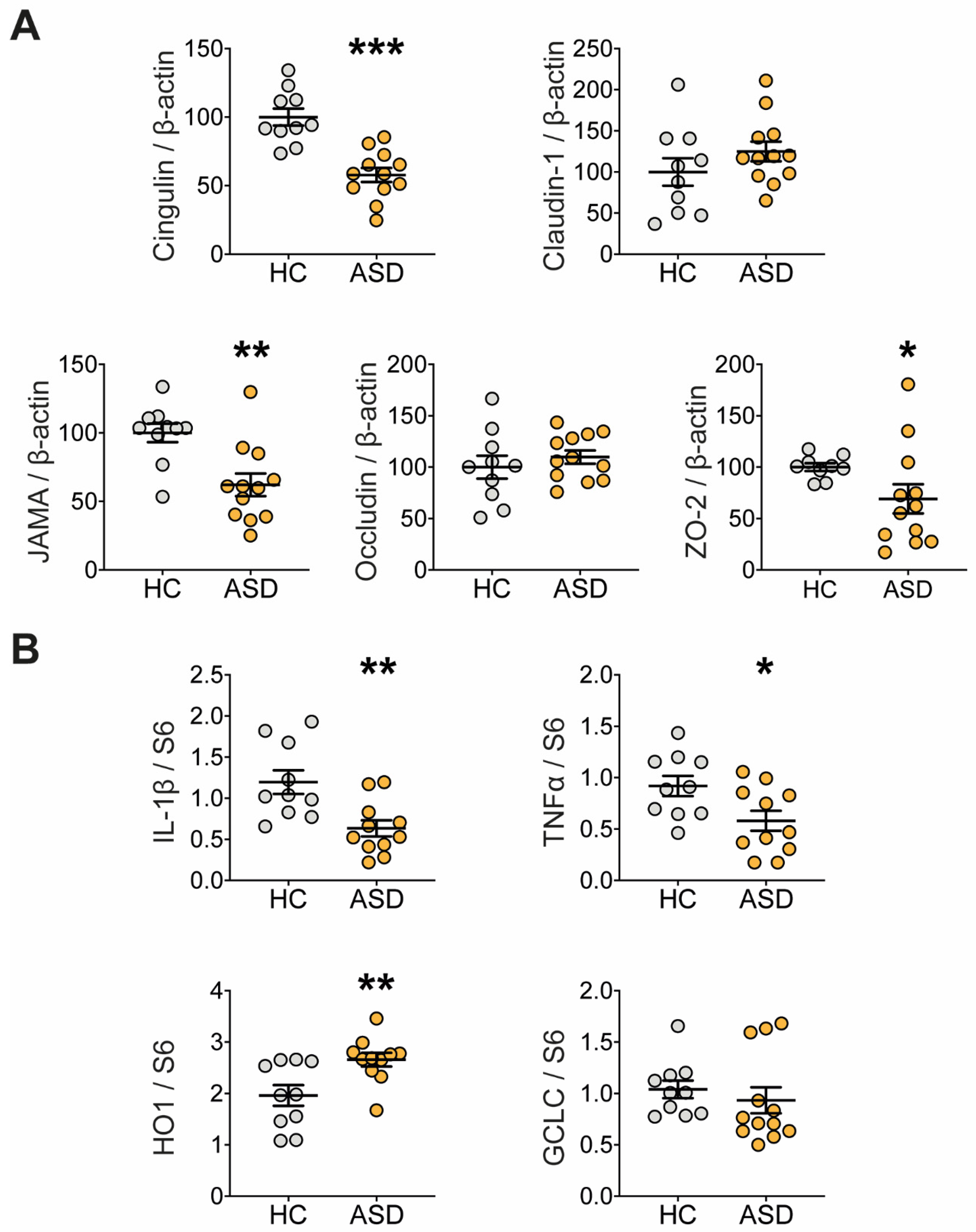 Fecal Supernatant from Adult with Autism Spectrum Disorder Alters ...