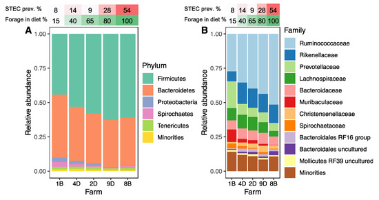 Microorganisms | Free Full-Text | Characterizing the Cattle Gut ...