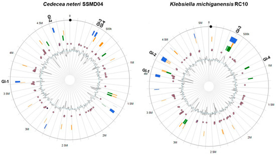 Genomic Insights into Drug Resistance Determinants in Cedecea neteri, A ...