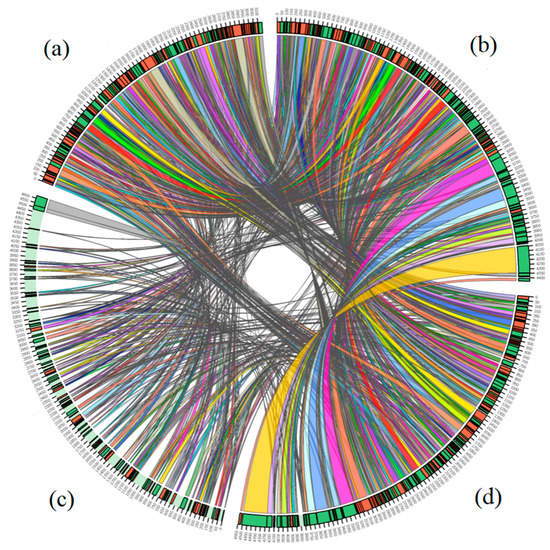 Microorganisms | Free Full-Text | Comparative Genome Analysis Provides ...