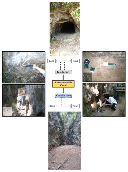 Assessment of Carbon Substrate Catabolism Pattern and Functional ...