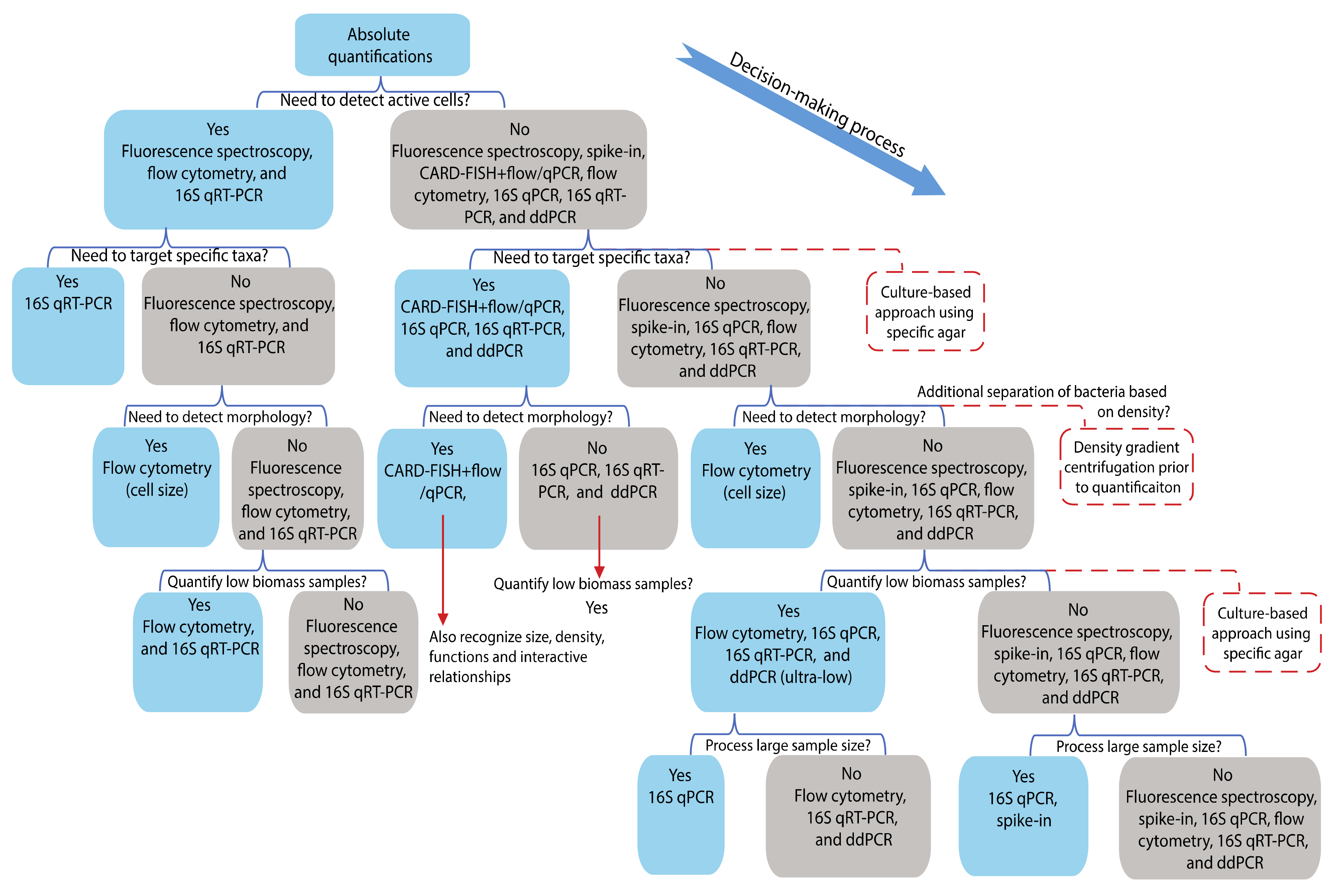 Current Applications of Absolute Bacterial Quantification in Microbiome ...