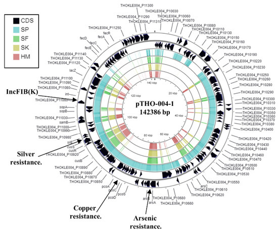 Antimicrobial Resistance and Comparative Genome Analysis of Klebsiella ...