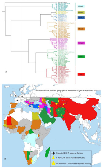 Crimean-Congo Hemorrhagic Fever Virus in Asia, Africa and Europe