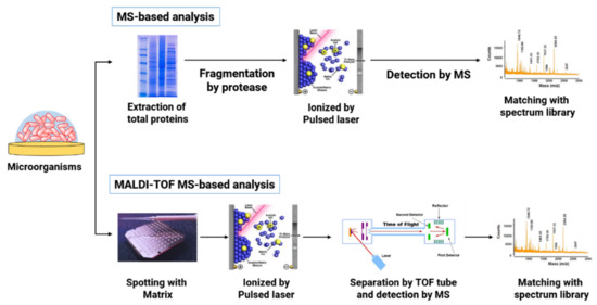 Microorganisms Free Full Text Current Scenario And Challenges In