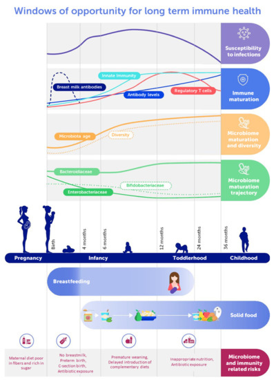 Nurturing the Early Life Gut Microbiome and Immune Maturation for Long Term Health