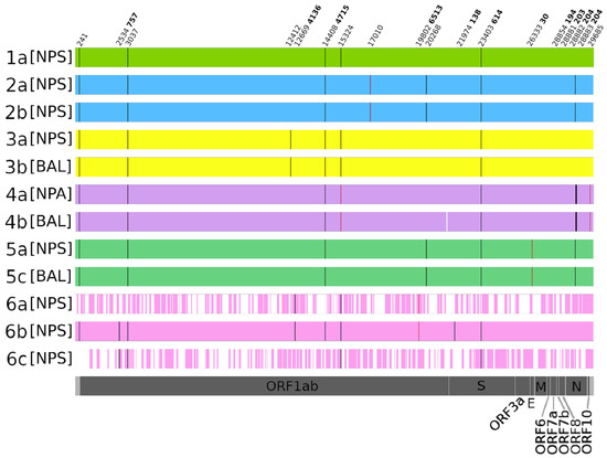 Microorganisms Special Issue Viral Metagenomics And Metatranscriptomics Virus Discovery