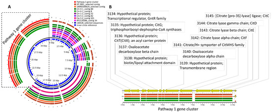 Identification of Potential Citrate Metabolism Pathways in ...