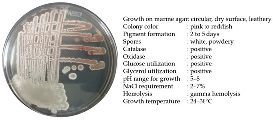 Complete Genome Analysis of Undecylprodigiosin Pigment Biosynthesizing ...