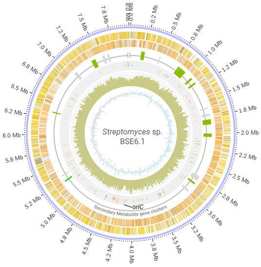 Complete Genome Analysis of Undecylprodigiosin Pigment Biosynthesizing ...