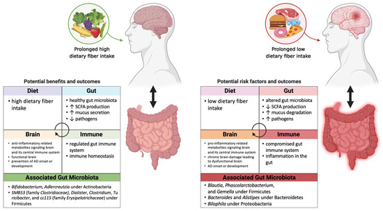 The Potential Utility of Prebiotics to Modulate Alzheimer’s Disease: A ...